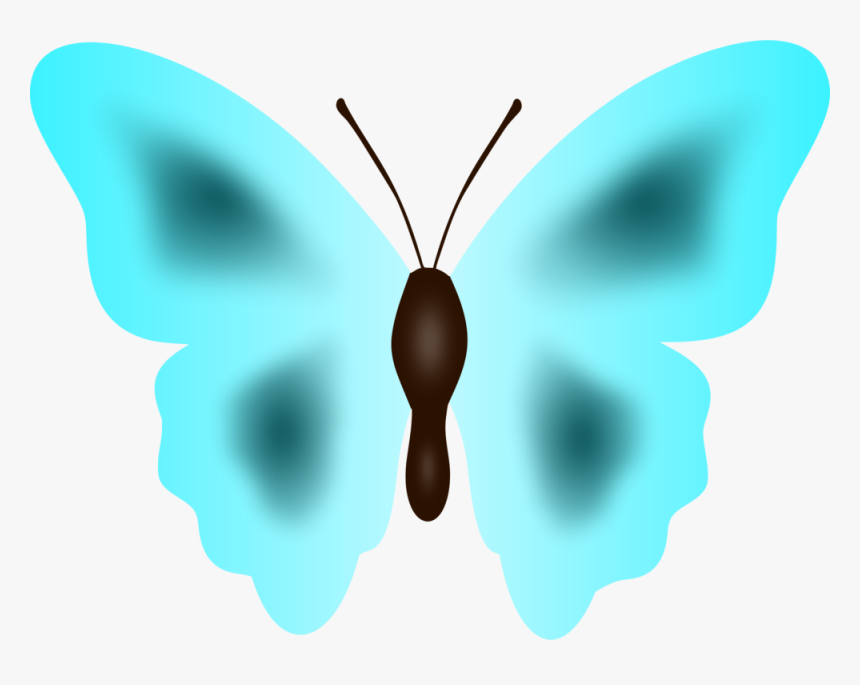 Butterfly,symmetry,moth - Lycaenid, HD Png Download , Transparent Png ...