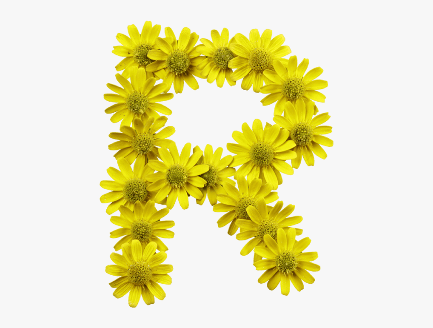 Yellow Flowers Font - Letter I Flower Transparent, HD Png Download ...
