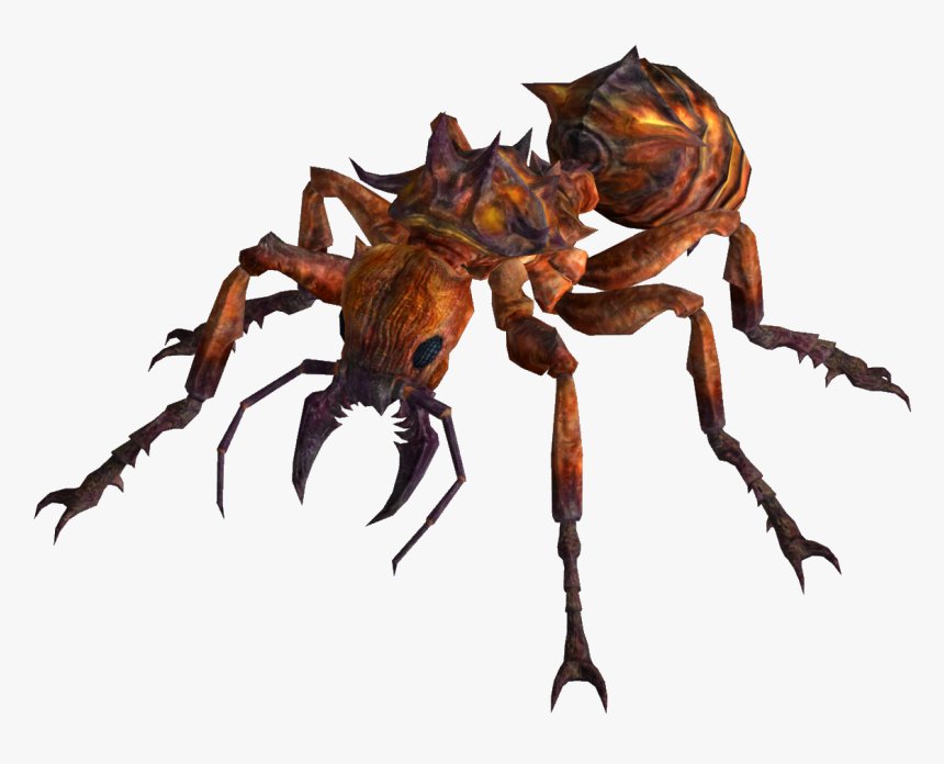 Fire Ant - Fallout Fire Ant, HD Png Download , Transparent Png Image ...