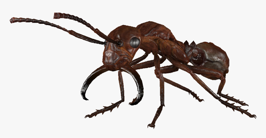 Transparent Ant Png - Fallout 4 Overgrown Glowing Ant, Png Download ...