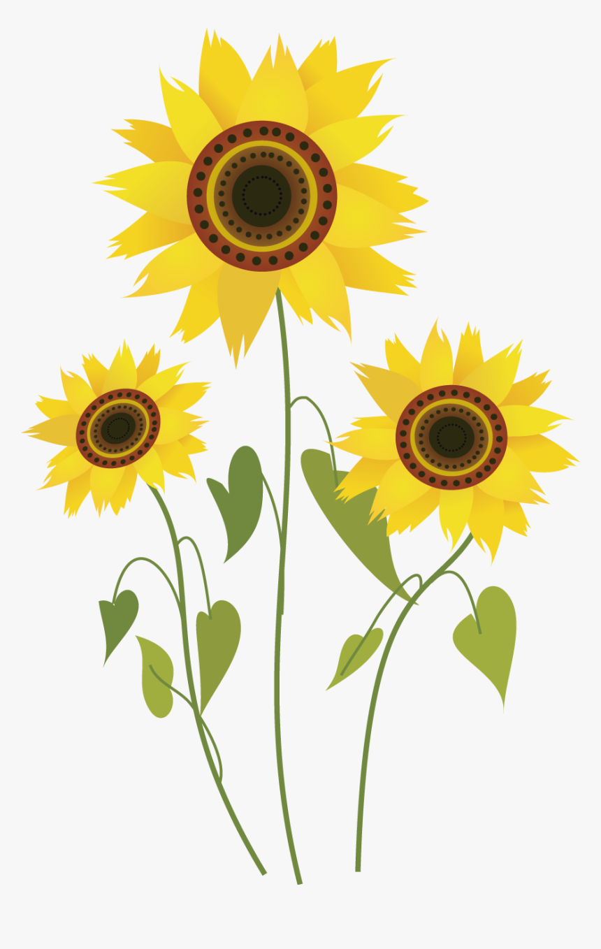 Common Sunflower Drawing Computer File - Sunflower Drawing, HD Png ...