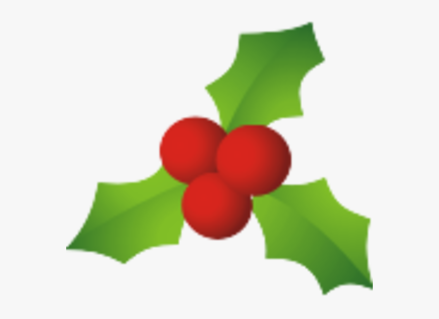 Christmas Mistletoe, HD Png Download , Transparent Png Image - PNGitem