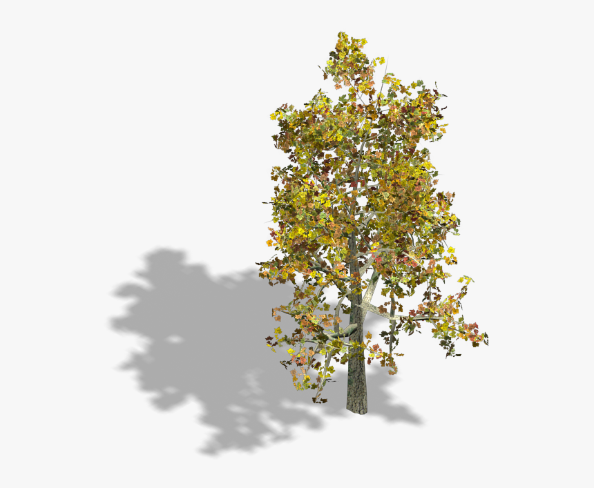 Preview - Tree Axonometric Png, Transparent Png , Transparent Png Image ...