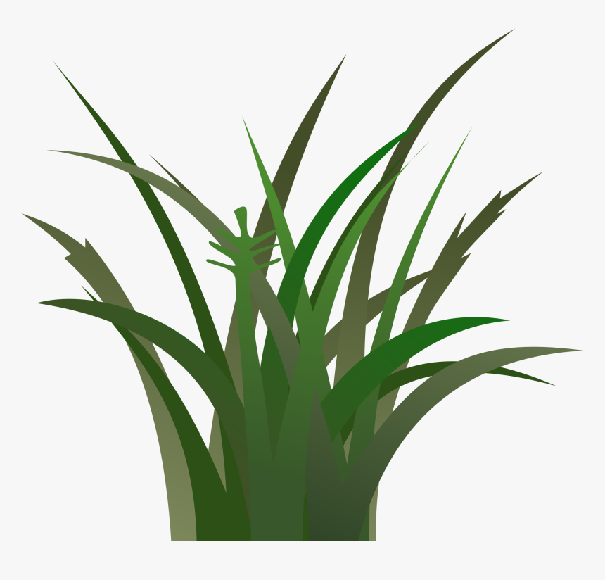 Green Grass Clip Art - Dark Green Grass Clipart, HD Png Download ...