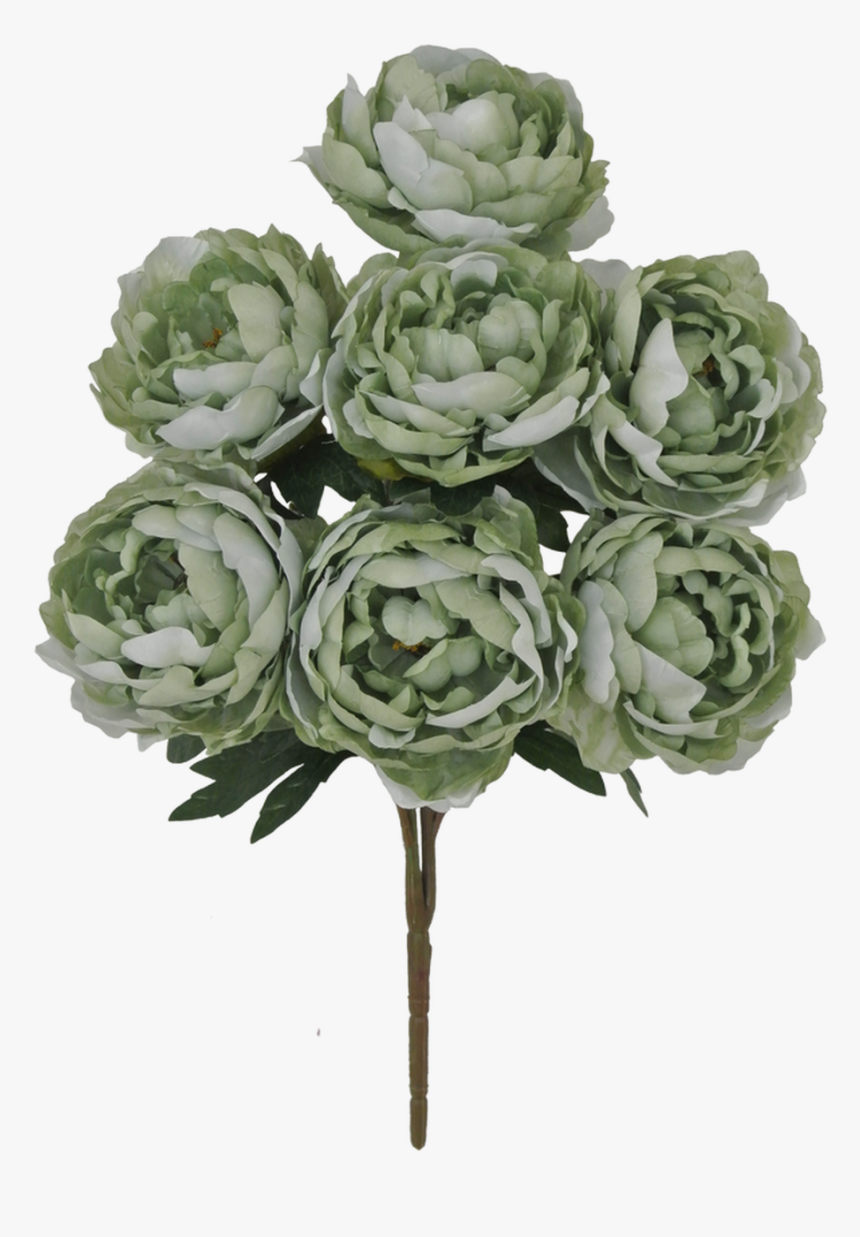 22 - White Mexican Rose, HD Png Download , Transparent Png Image - PNGitem