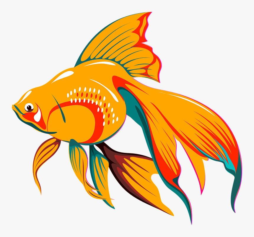 Fish, Asian, Tail, Golden, Exotic, Tropical, Fins - Fish Gif Png ...