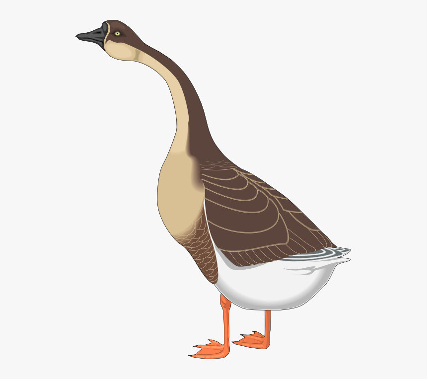 Transparent Geese Flying Png - Goose Clipart Png, Png Download ...