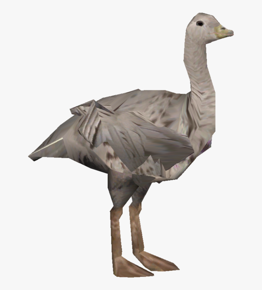 Goose, HD Png Download , Transparent Png Image - PNGitem