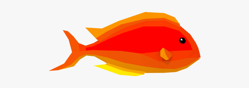 Pomacentridae, HD Png Download , Transparent Png Image - PNGitem