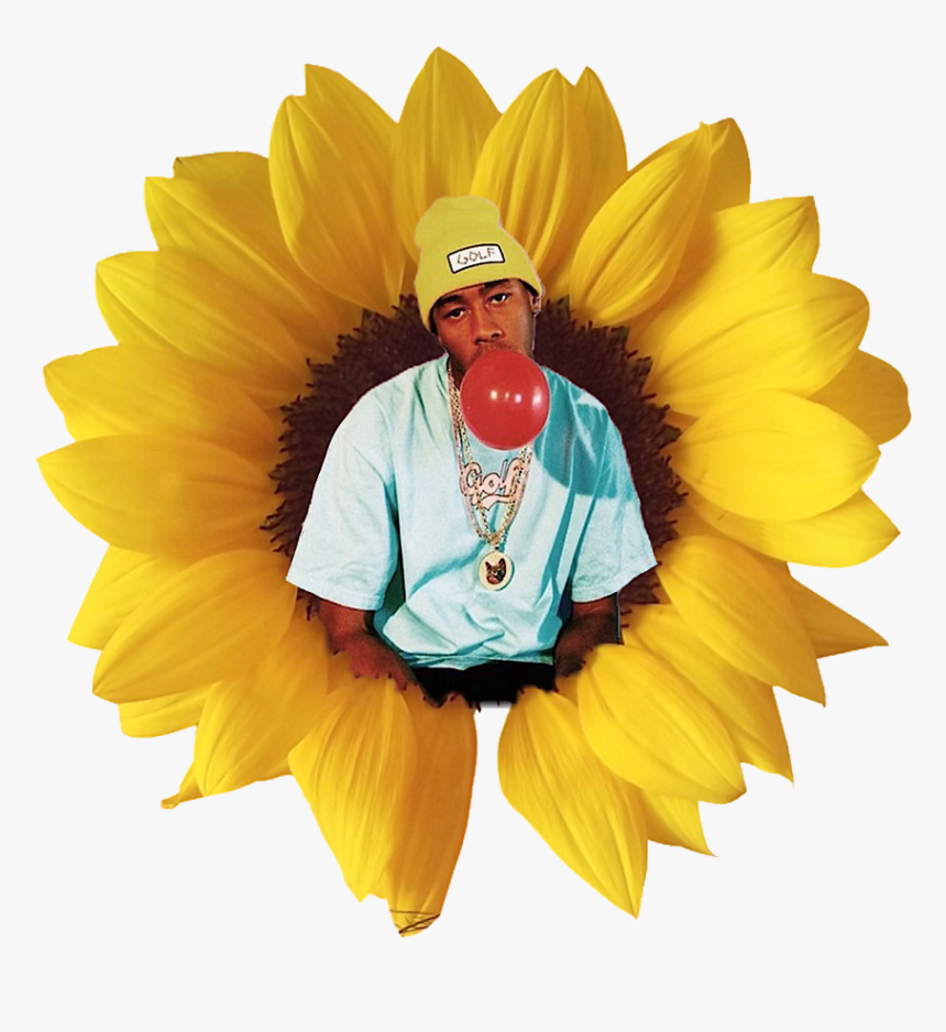 Tyler The Creator Transparent