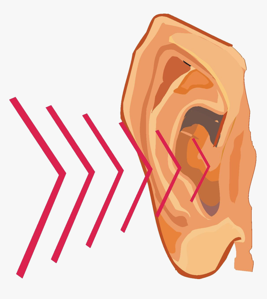 Waves Clipart Noise - Sound And Vibration, HD Png Download ...