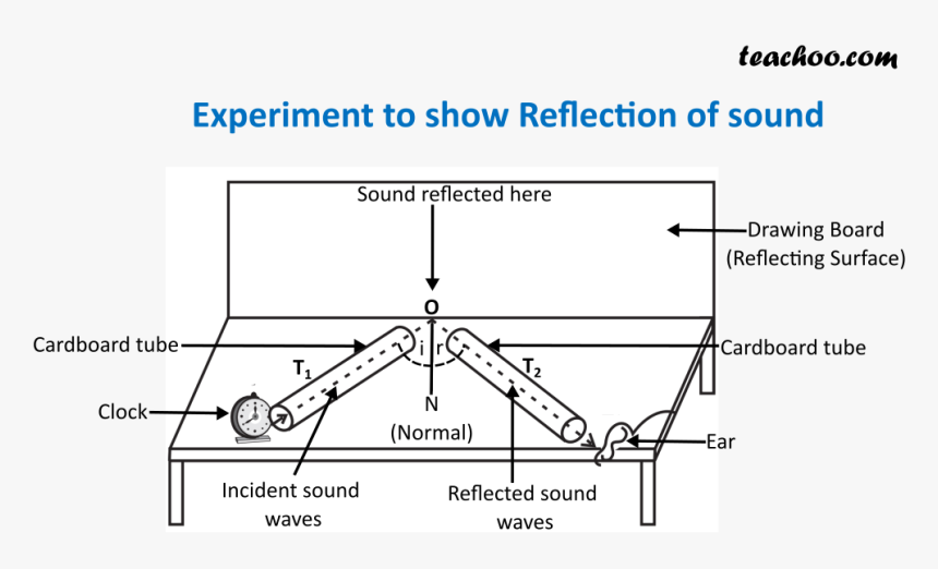 Reflection Of Sound Waves