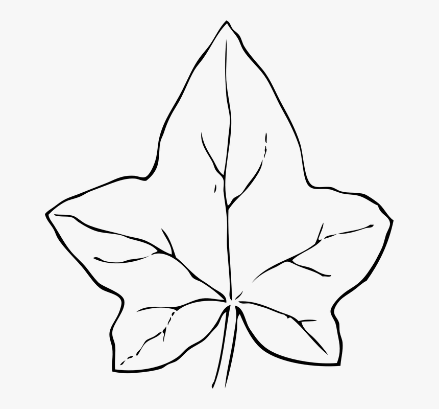 Fall Leaves Clip Art Black And White - Clip Art Pumpkin Leaves, HD Png ...