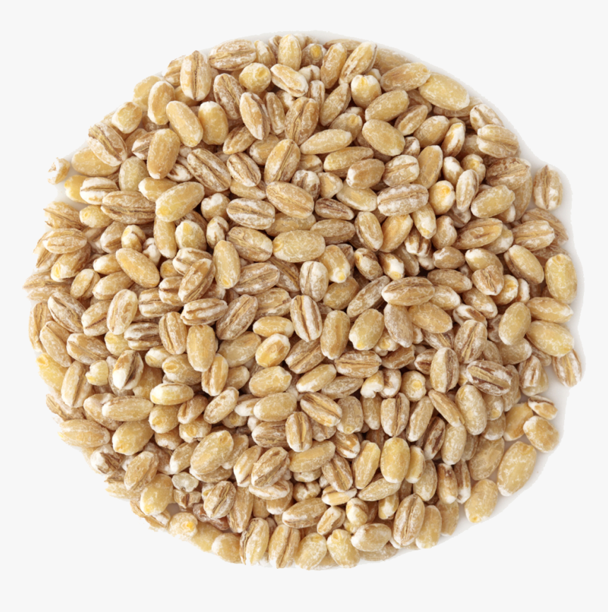 Transparent Grain Png - Barley, Png Download , Transparent Png Image ...