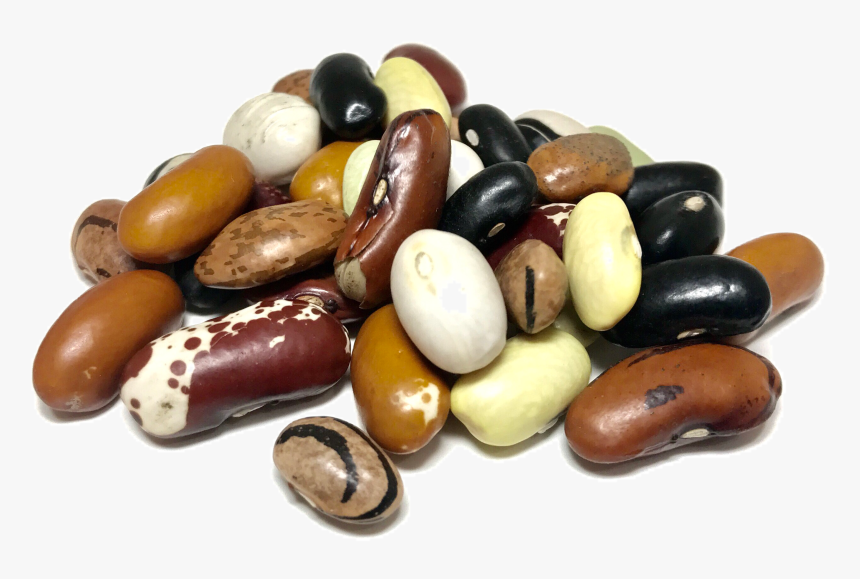 Dry Beans, HD Png Download , Transparent Png Image - PNGitem