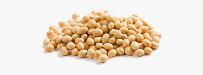 Beans Vector Soya Bean - Soya Png, Transparent Png , Transparent Png ...