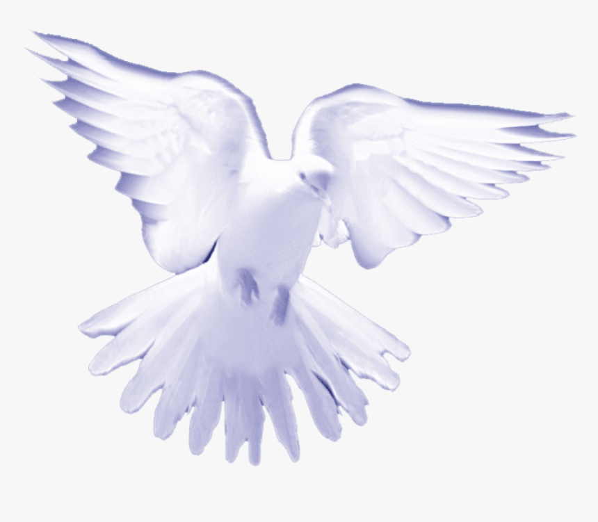 White Birds On Heaven , Png Download - Holy Spirit White Doves ...