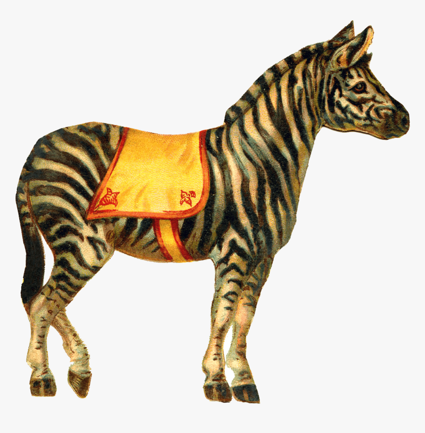 Zebra Circus - Vintage Circus Poster Animals, HD Png Download ...
