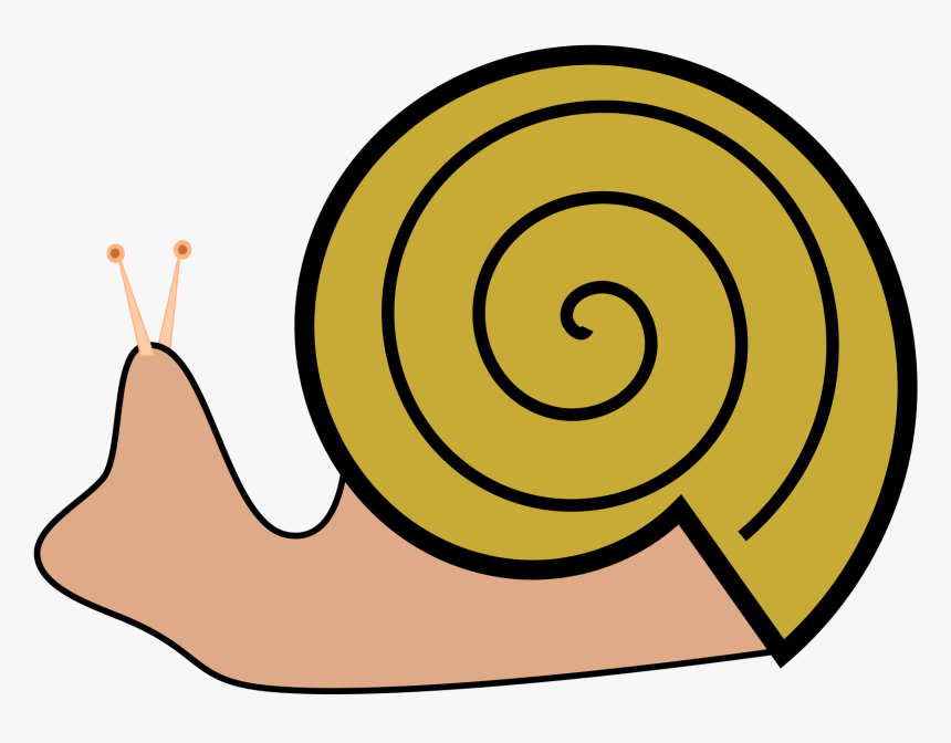 Snail Clip Arts - Snail Shell Clipart, HD Png Download , Transparent ...