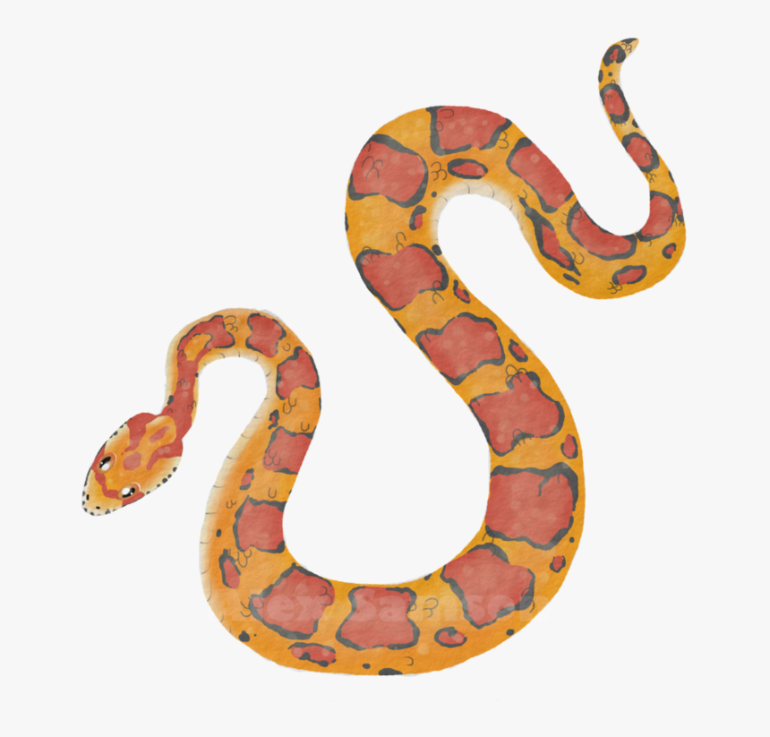 Corn Snake Png - Corn Snake Clip Art, Transparent Png , Transparent Png ...