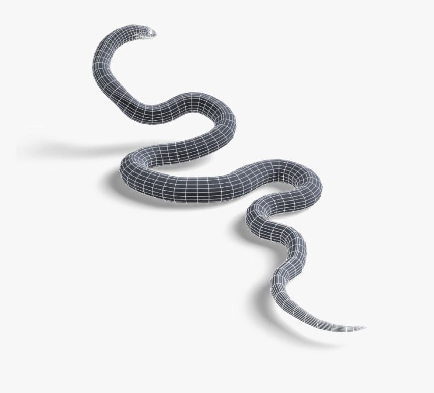 Black Mamba Snake Transparent Image Racer - Black Mamba Transparent, HD ...