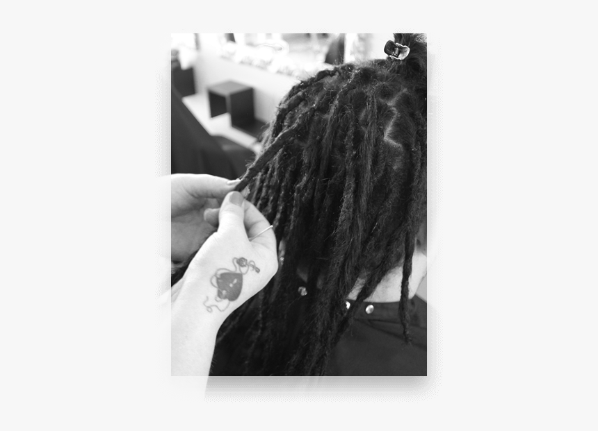 Dreadlocks, HD Png Download , Transparent Png Image - PNGitem