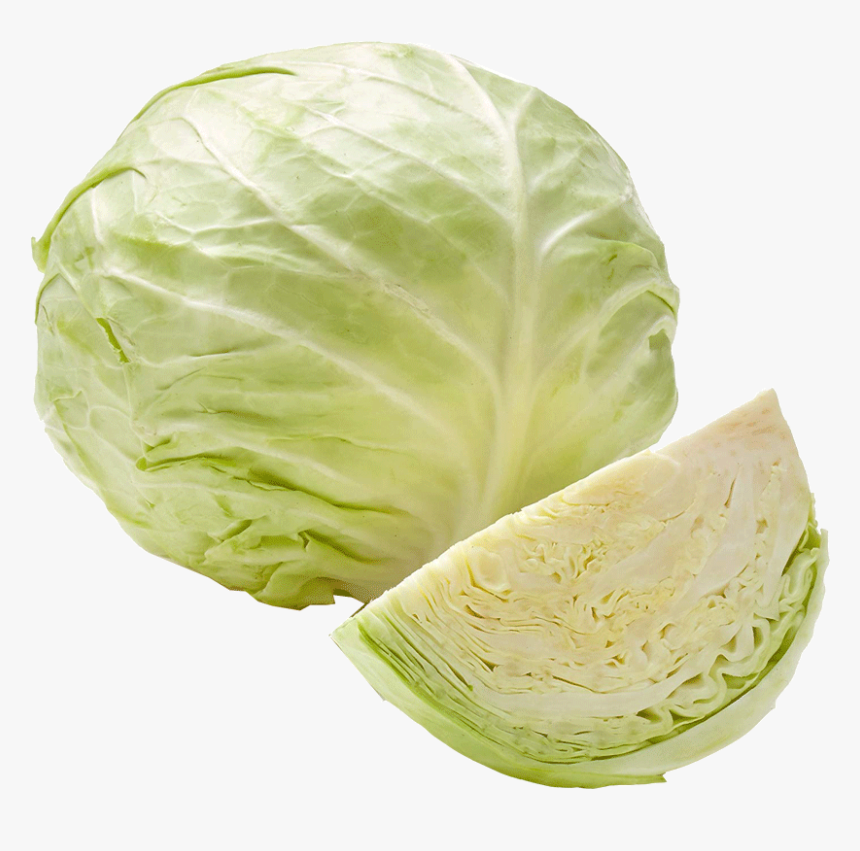 Cabbage 1 Kg Green Cabbage - Band Gobi, HD Png Download , Transparent ...