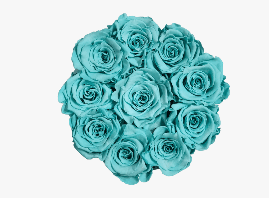 Blue Rose, HD Png Download , Transparent Png Image - PNGitem