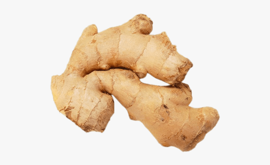 Ginger Root, HD Png Download , Transparent Png Image - PNGitem