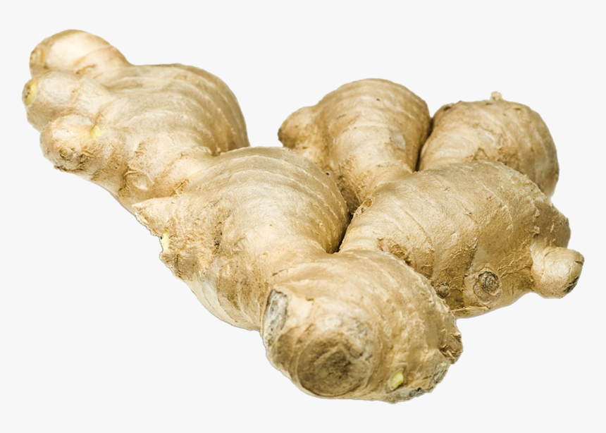 16790 - Gingar Png, Transparent Png , Transparent Png Image - PNGitem