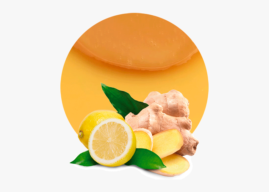 Ginger Png, Transparent Png , Transparent Png Image - PNGitem