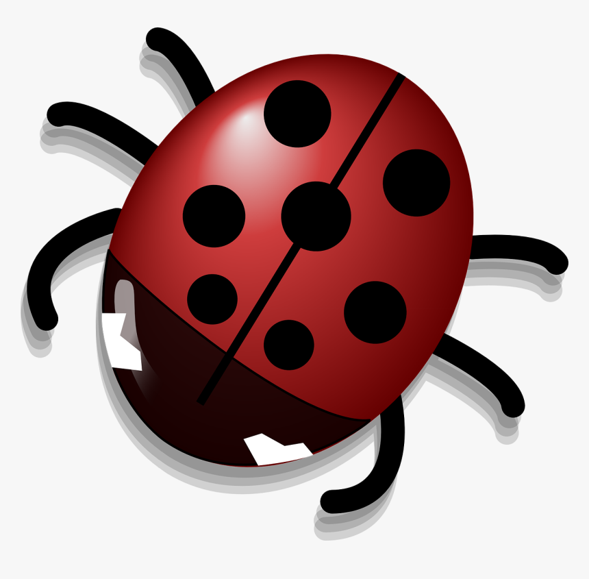 Ladybug Clipart, HD Png Download , Transparent Png Image - PNGitem