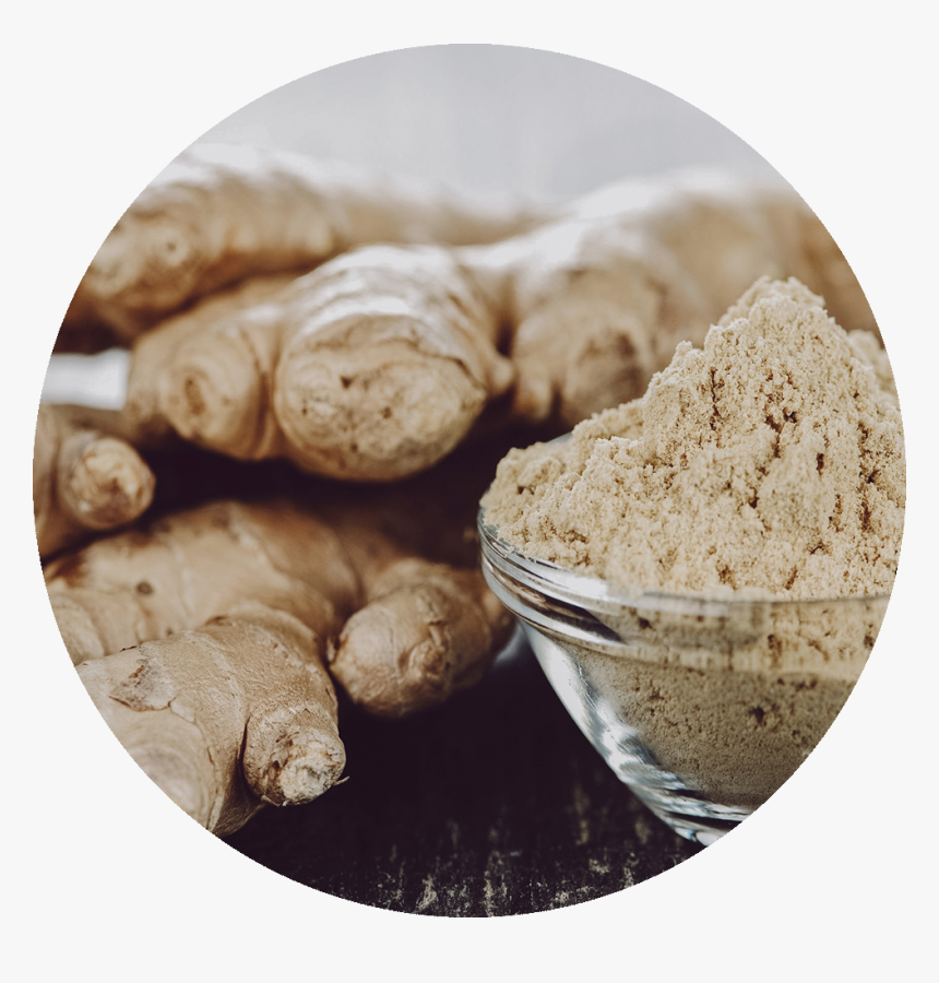 Ginger Root, HD Png Download , Transparent Png Image - PNGitem