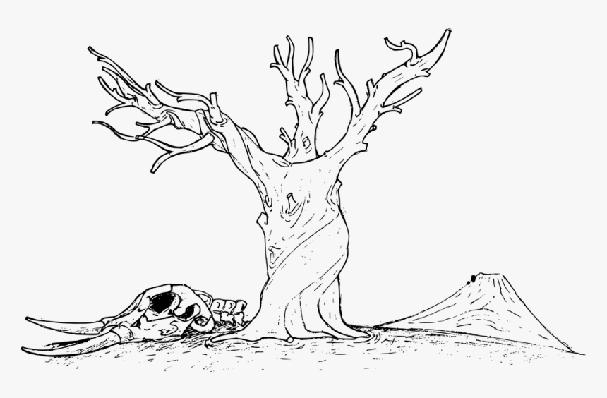 Plant, Tree, Nature, Line Art, Deluge, Skull, Sad - Line Drawing For ...