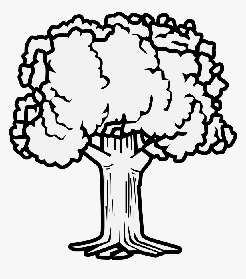 Coat Of Arms Trees, HD Png Download , Transparent Png Image - PNGitem