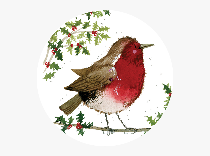 Christmas Robin Png, Transparent Png , Transparent Png Image - PNGitem