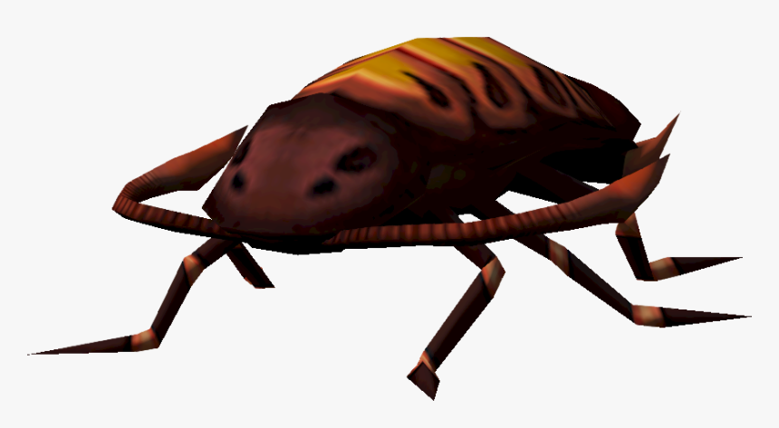 Weevil, HD Png Download , Transparent Png Image - PNGitem