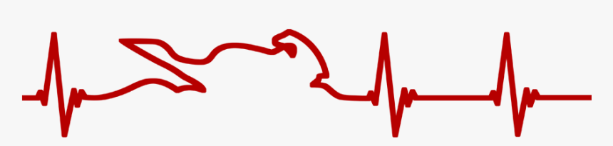 Motorcycle Stickers Png, Transparent Png , Transparent Png Image - PNGitem