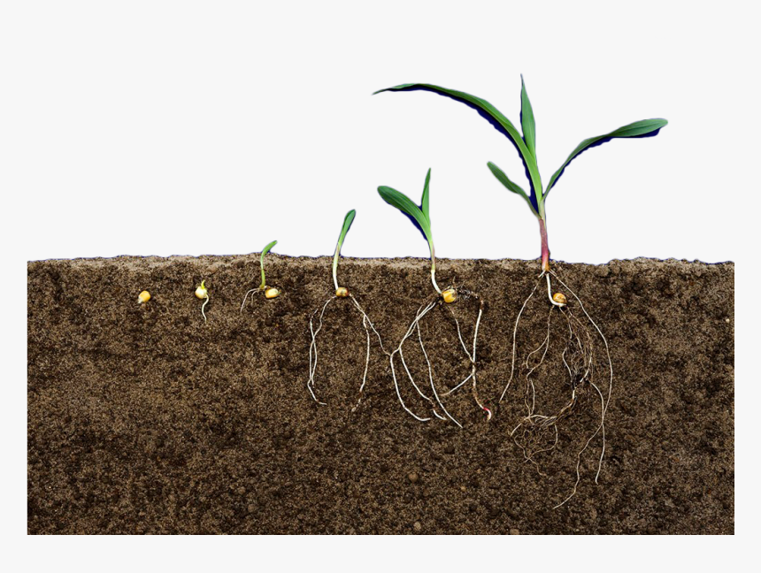 Transparent Soil Layers Clipart - Soil Layers Transparent, HD Png ...