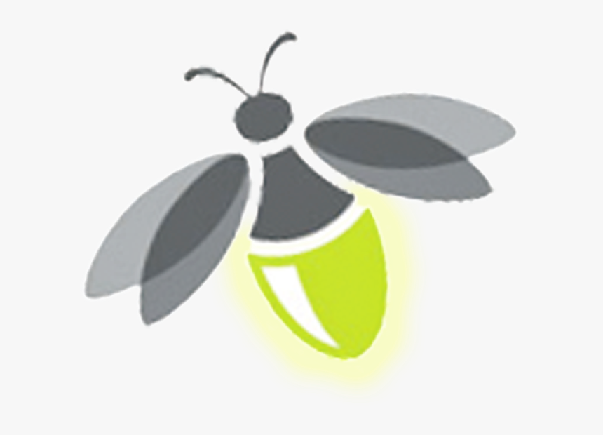 Firefly Transparent Background, HD Png Download , Transparent Png Image ...