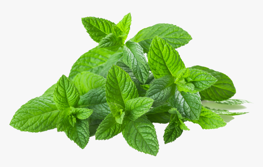 Mint Png Transparent Mint Images, Png Download , Transparent Png Image ...