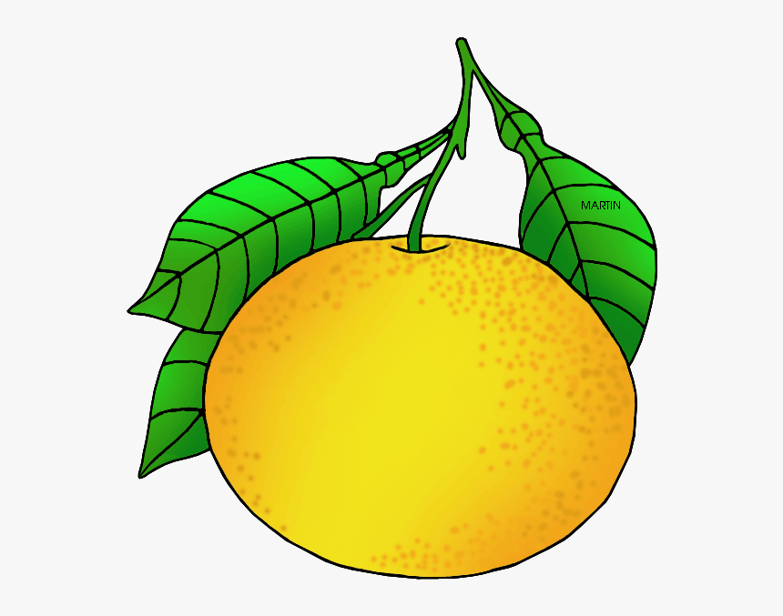 Texas State Fruit, HD Png Download , Transparent Png Image - PNGitem