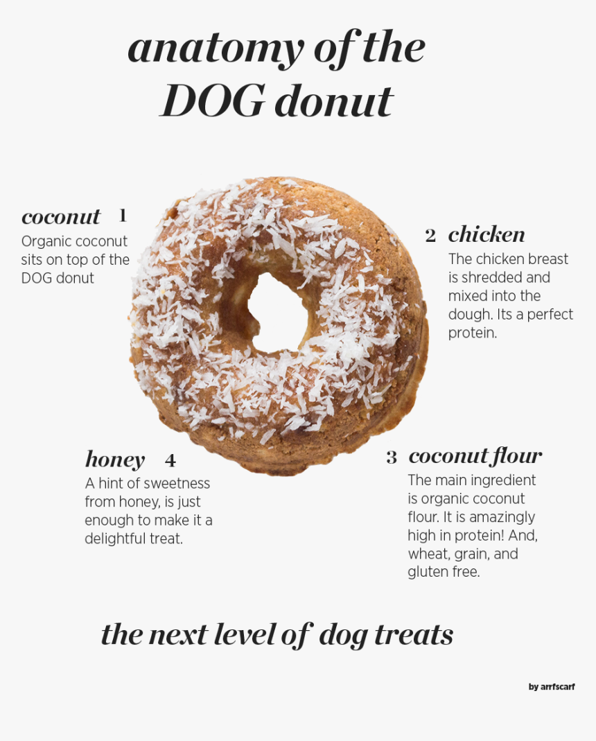 Dogdonut - Anatomy Of A Donut, HD Png Download , Transparent Png Image ...