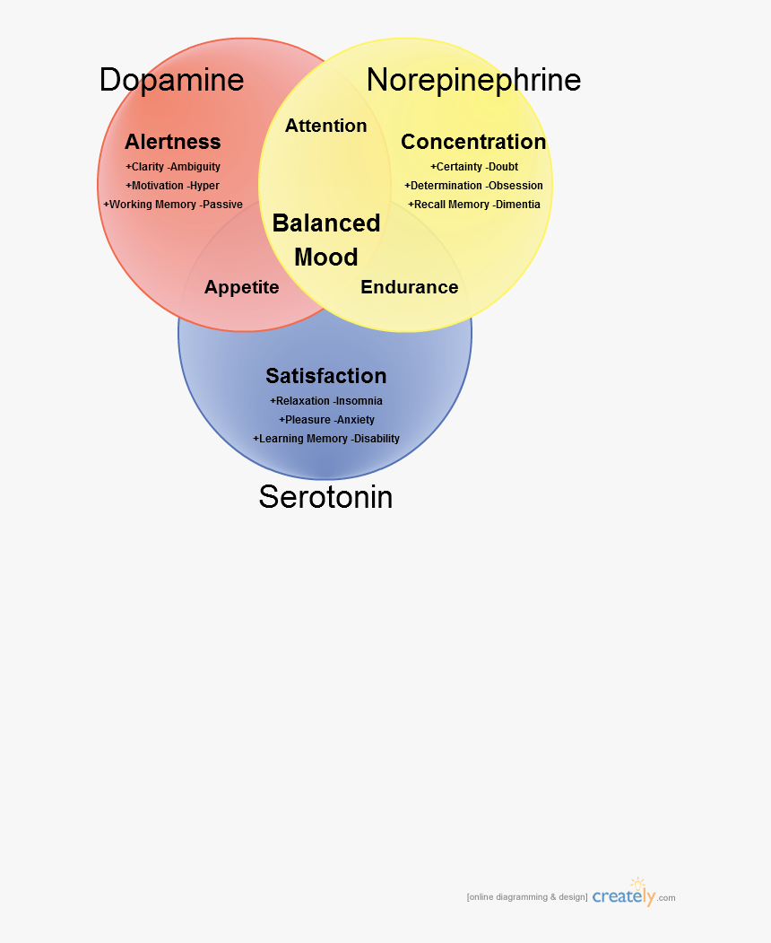 Norepinephrine Dopamine Serotonin Venn Diagram Dopamine Sero