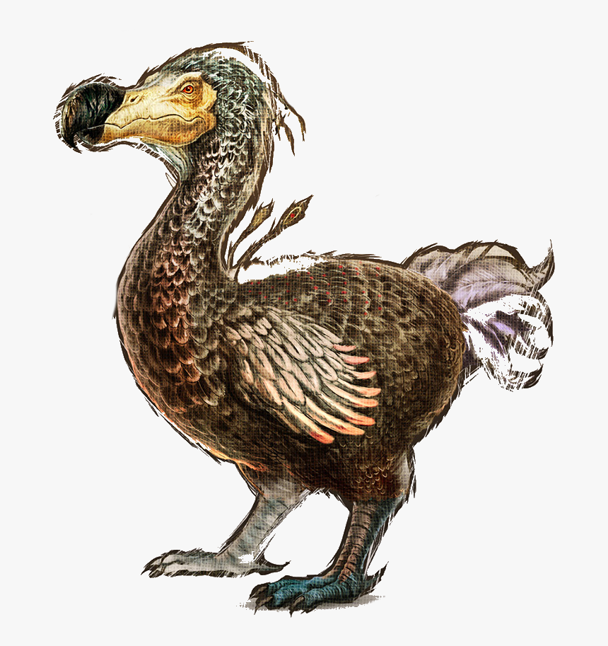 Ark Dodo Png, Transparent Png , Transparent Png Image - PNGitem