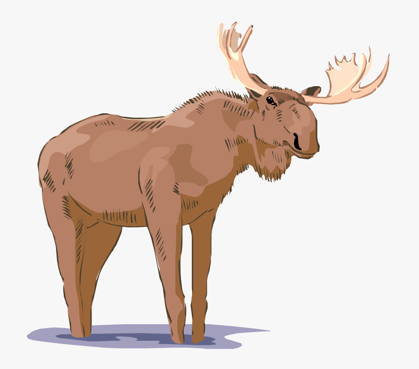 Moose Clip Art