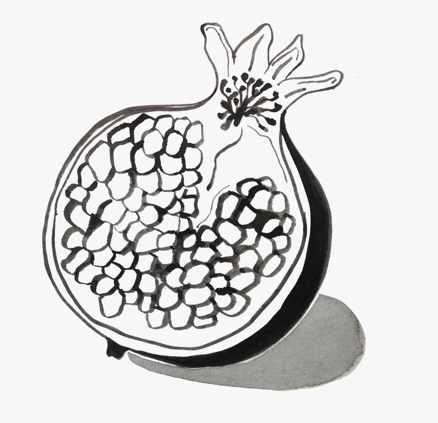 Pomegranate Clipart Black And White