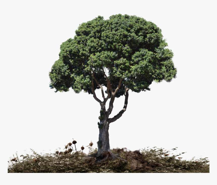 Download Landscape Png Picture - Landscape Png, Transparent Png ...