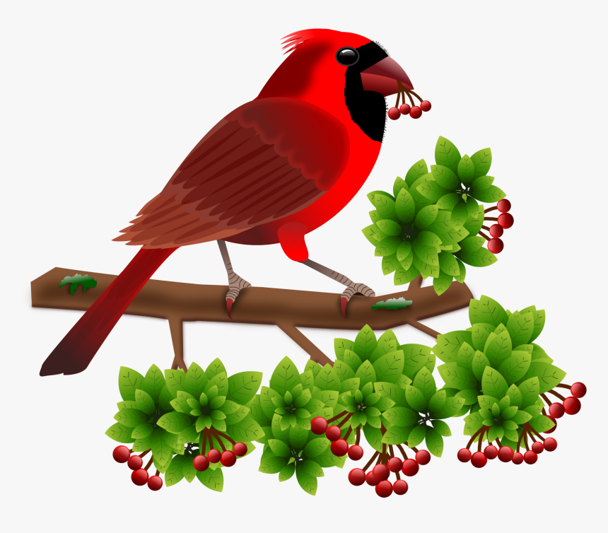 Beautiful Birds Word, HD Png Download , Transparent Png Image - PNGitem