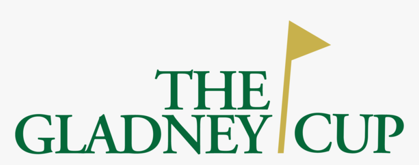 Todd Howard Png , Png Download, Transparent Png , Transparent Png Image ...